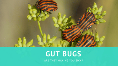 Gut Bugs | Contagious Enthusiasm